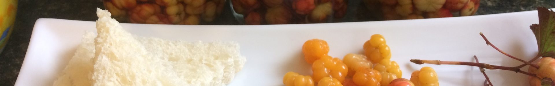 Traditional Newfoundland Bakeapple Picking and Preserving - Bonita's ...