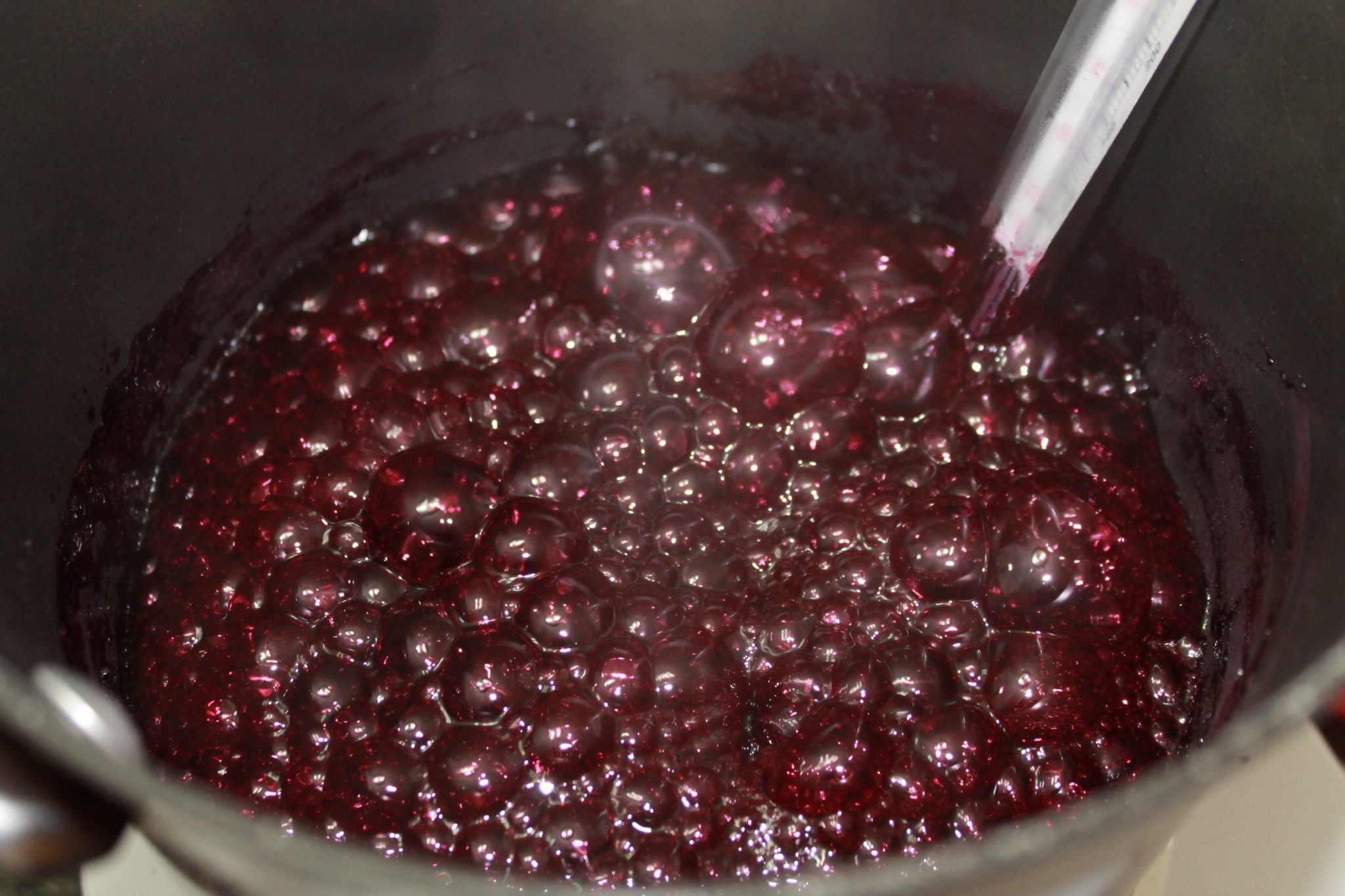 Blueberry Syrup - Bonita's Kitchen